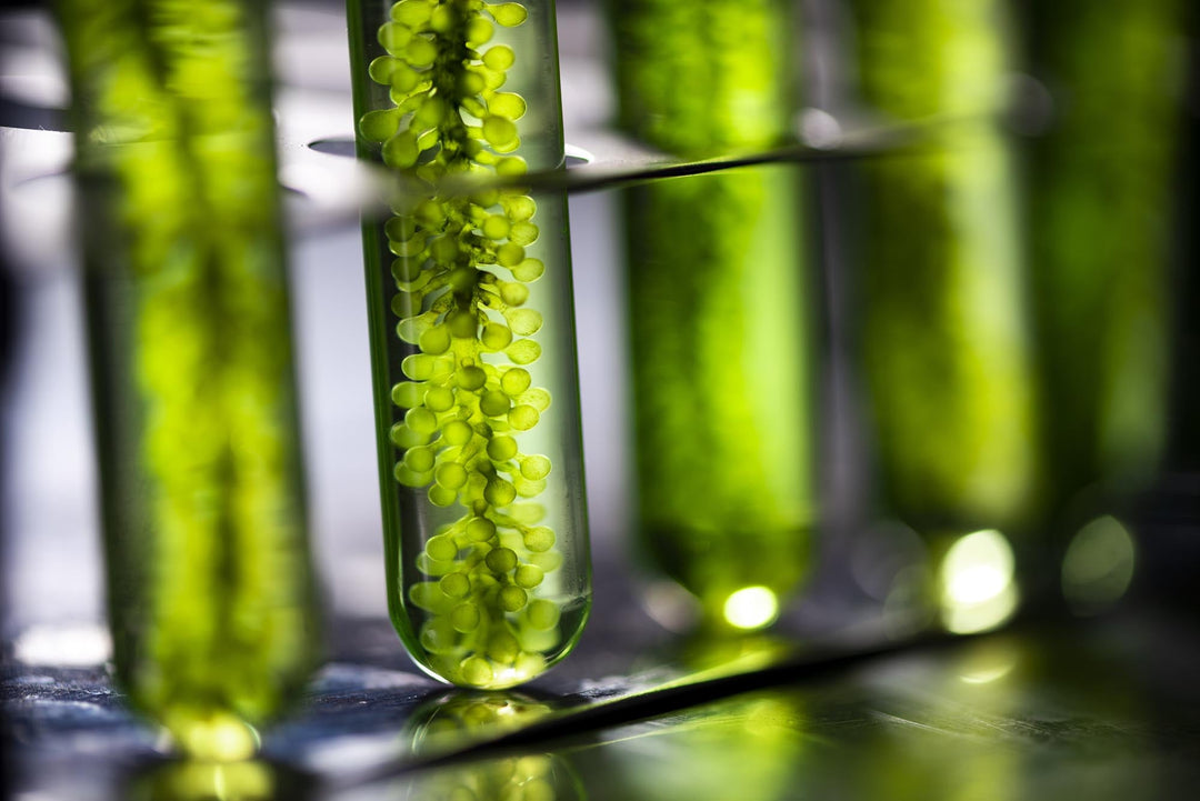 How to Support Your Skin Microbiome: A Step-by-Step Guide | Skin Care ...